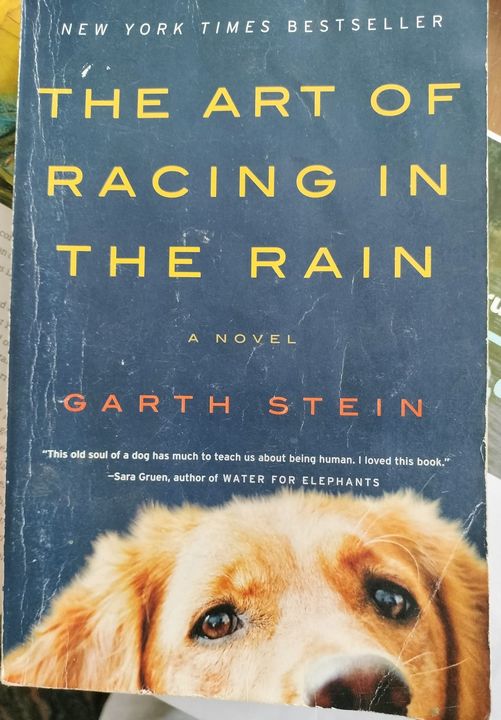 The Art of Racing in the Rain by Garth Stein- A book Review - Musings ...
